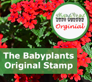 Plug Plants | Plant Plugs for Sale in the UK - Babyplants.co.uk